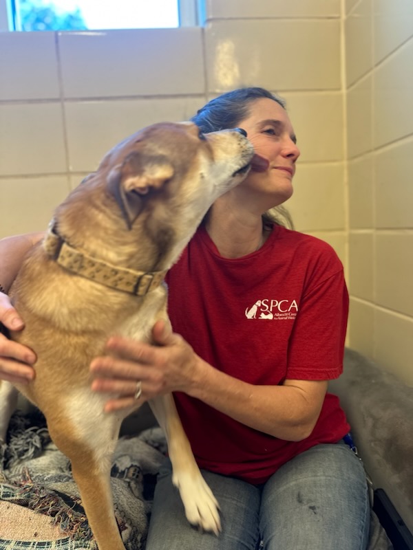 Meet Our New Shelter Manager - SPCA Albrecht
