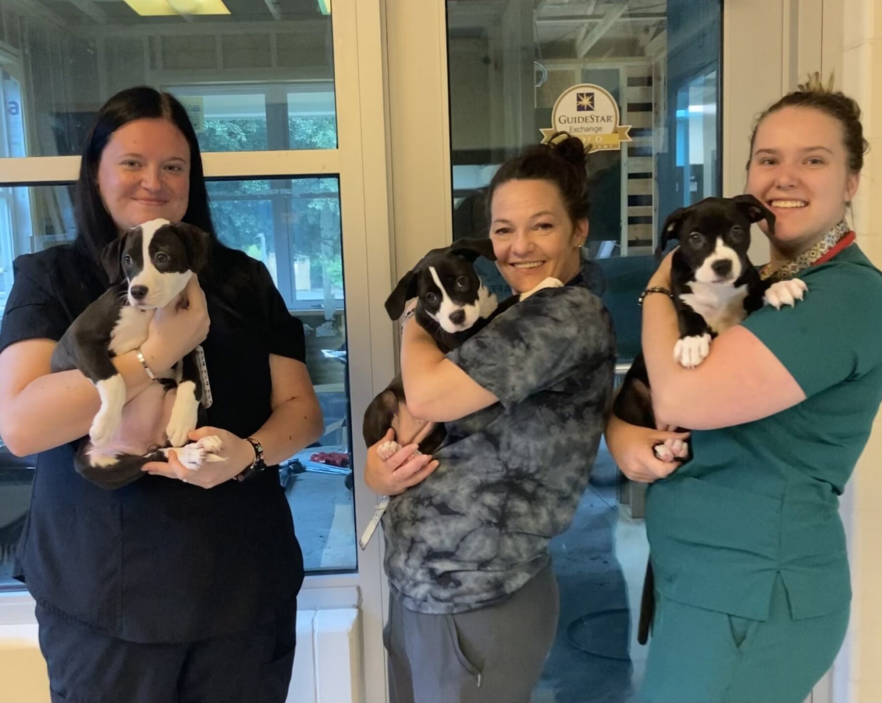 Celebrating Vet Tech Appreciation Week - SPCA Albrecht Celebrating Vet Tech Appreciation Week - SPCA Albrecht