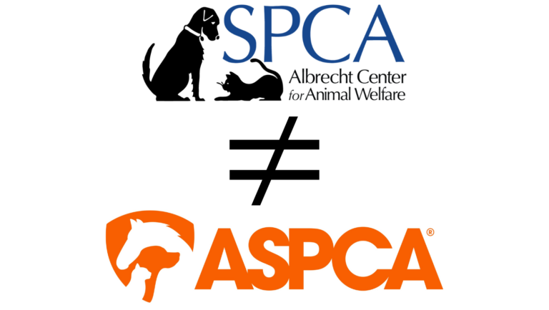 Avoid the Cost of Confusion When Donating Locally - SPCA Albrecht